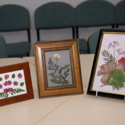 The Art of Flowers - Western Downs Libraries